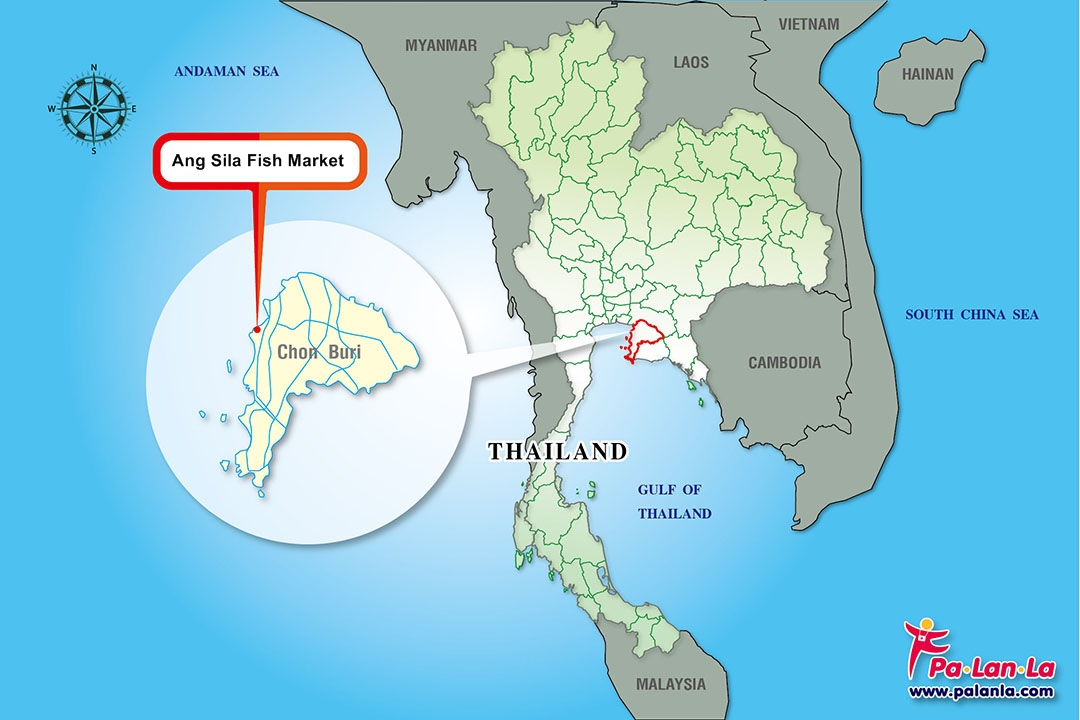 สะพานปลาอ่างศิลา จังหวัดชลบุรี ประเทศไทย - เพื่อนที่จะพาคุณไปสัมผัสมุมสวยๆ ของทุกสถานที่ท่อง ...